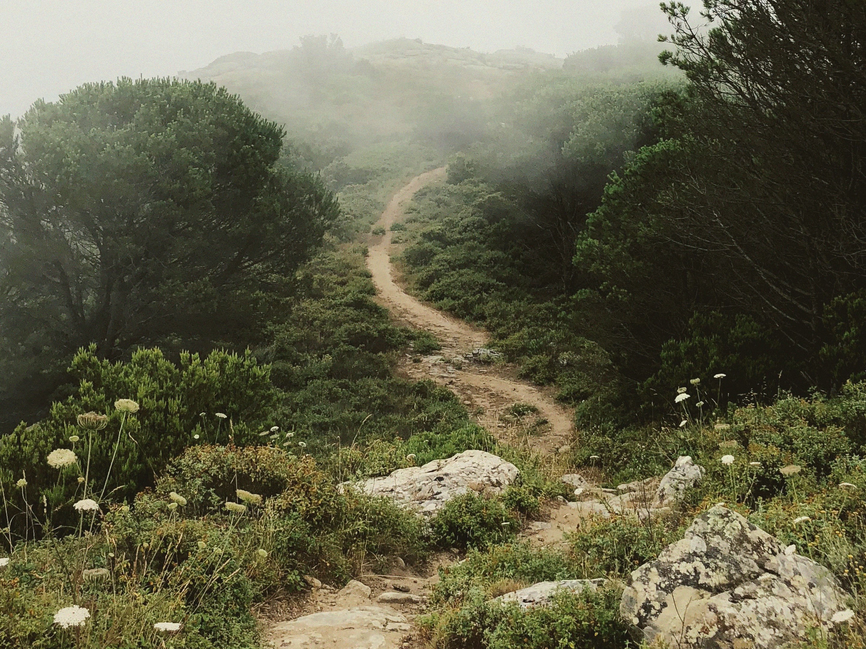 Path of Transformational Discipleship | Higher Ground Church